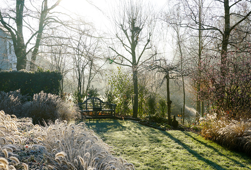 What's going on in the garden in January? – Whitehall Garden Centre