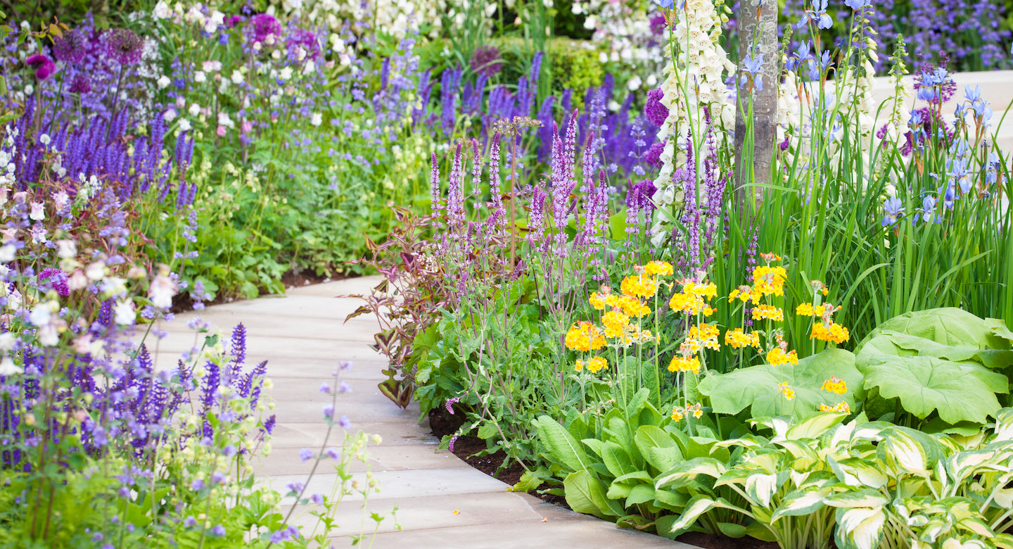 Outdoor Plants – Whitehall Garden Centre