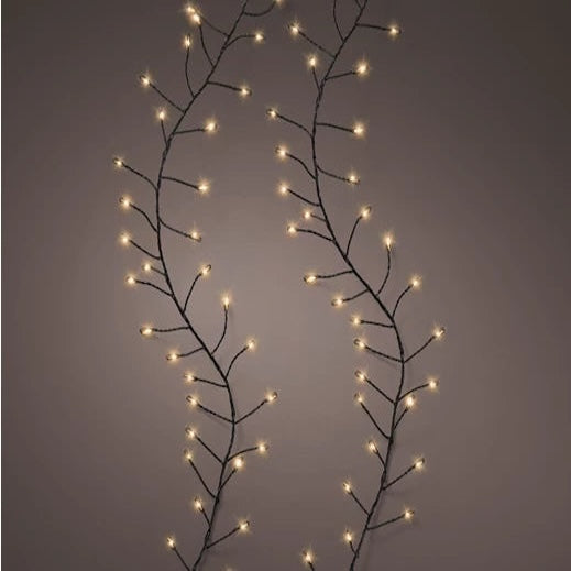 960 Micro Compact Lights Warm White Gre – Whitehall Garden Centre