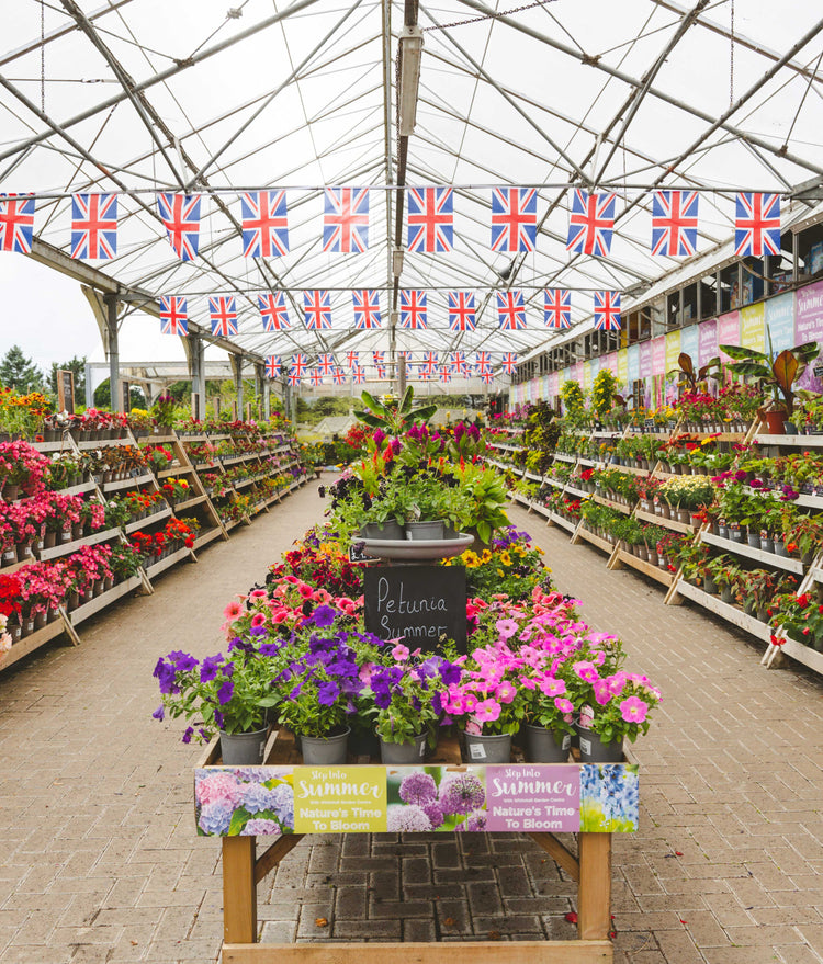 Whitehall Garden Centres